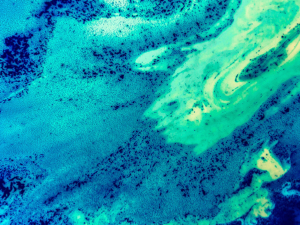 Lucki Eck$ – Alternative Trap [Album Review] – EARMILK