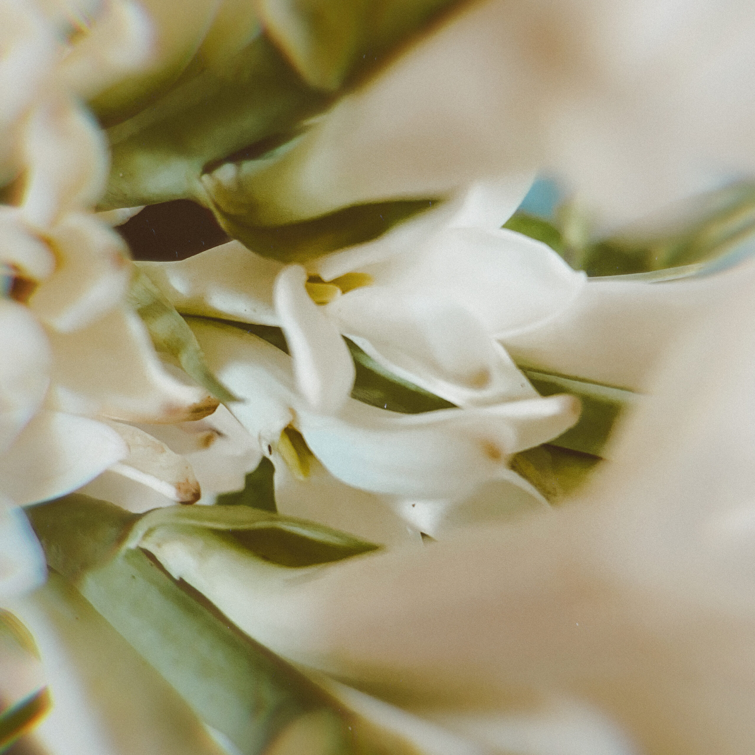 Apurva Kedia offers an ode to her beloved grandmother with “Kusum ...