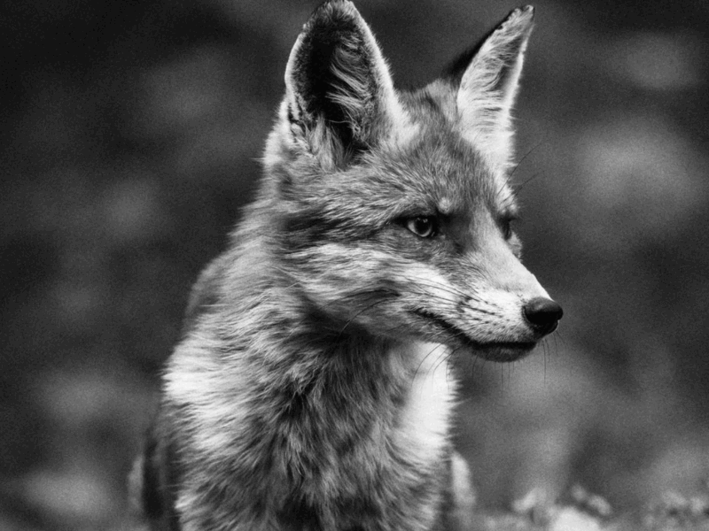 Finnish Producer Alex Mattson delivers strong and dynamic electronic EP ...