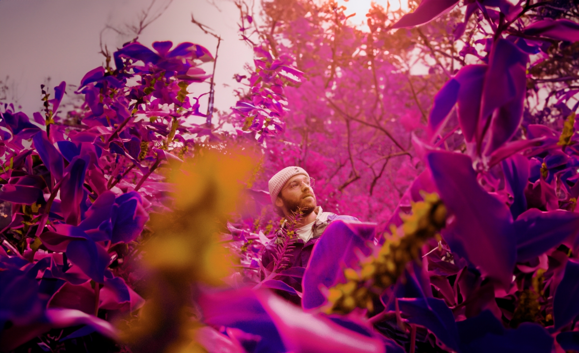 ttwig shines on new album ‘Hang Ten Colors to Catch the Sun’ – EARMILK
